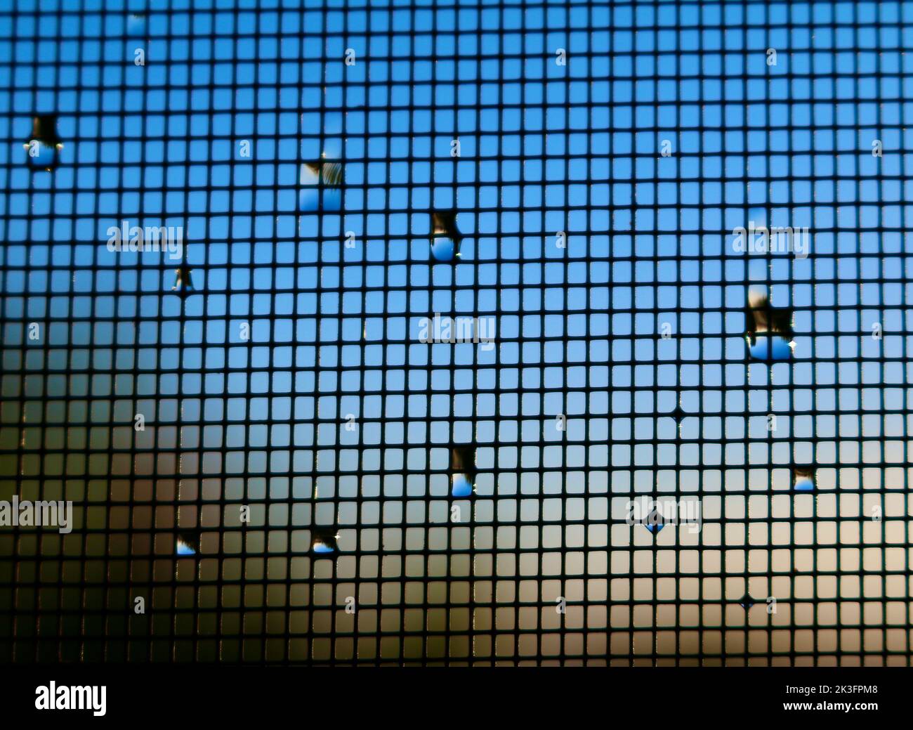 Raindrops on mesh screen Stock Photo - Alamy