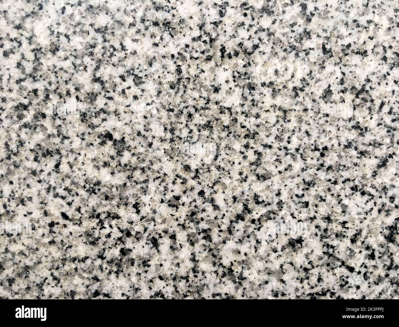 Gris mara hi-res stock photography and images - Alamy