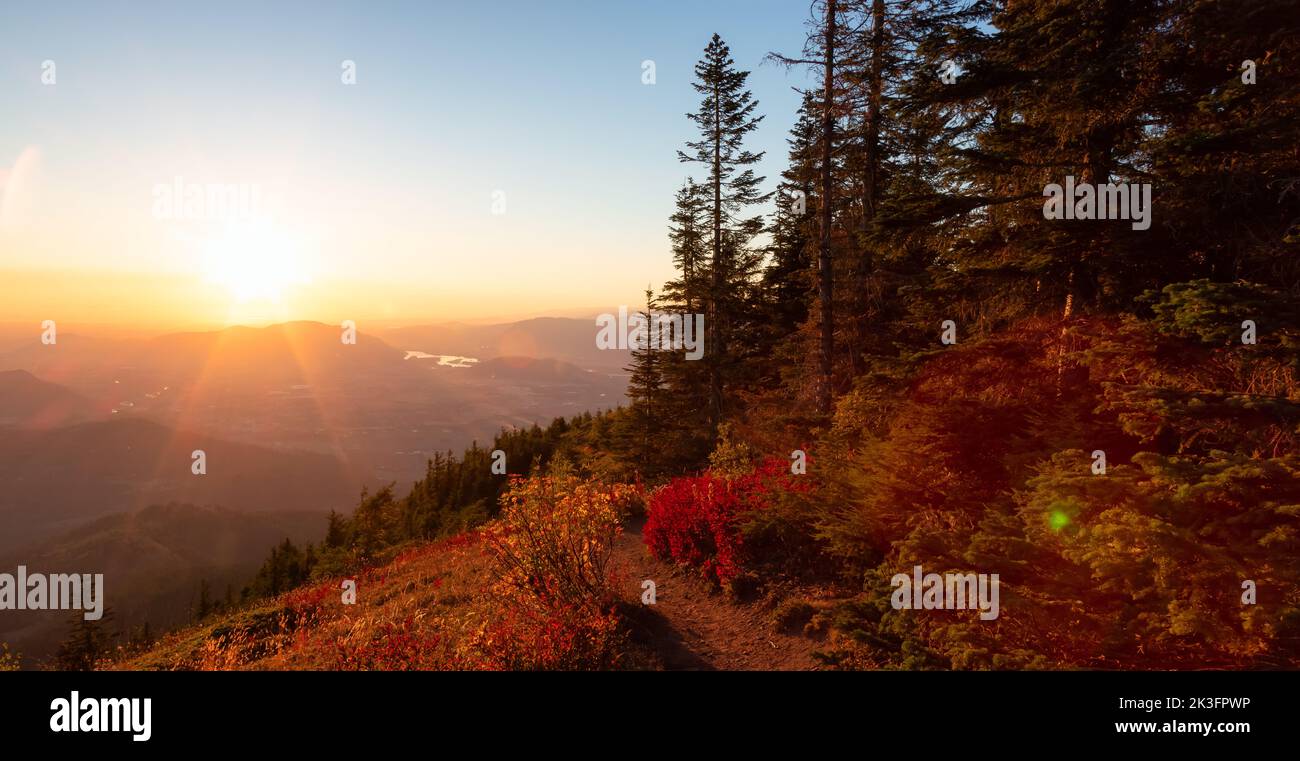 Canadian Landscape with Fall Colors during sunny sunset. Elk Mountain ...