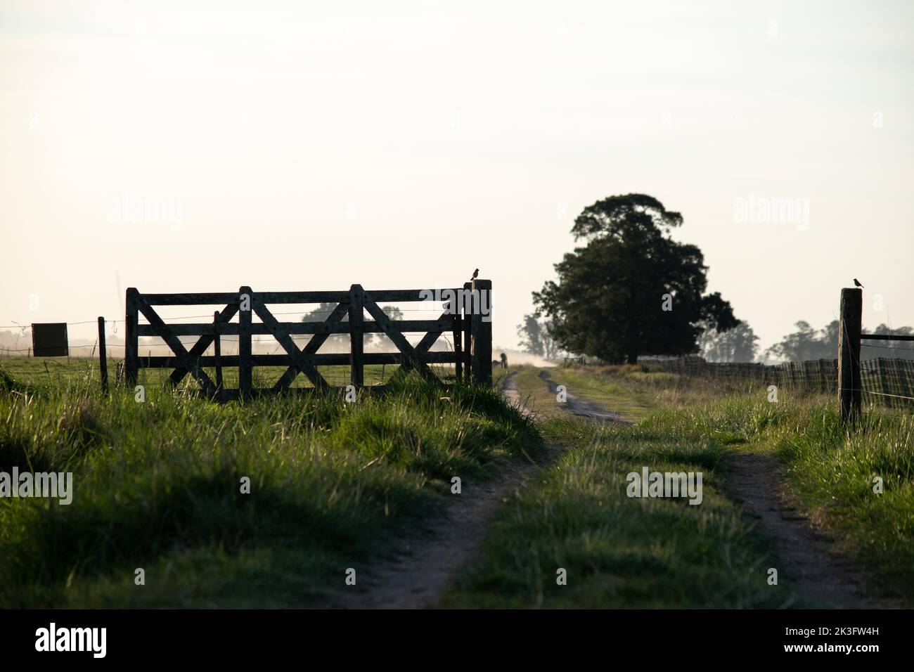 access gate in the countryside of Argentina Stock Photo - Alamy