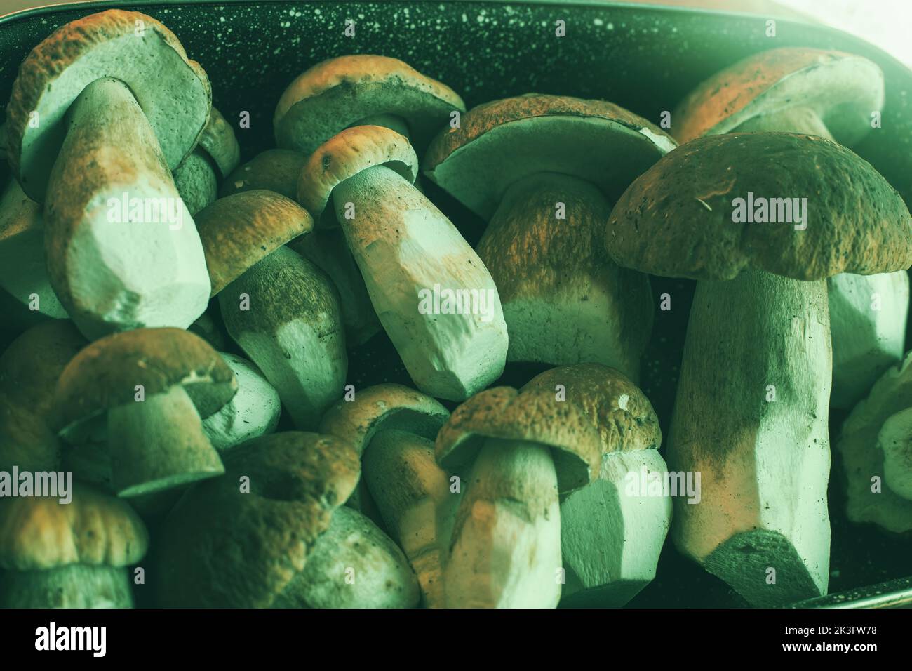 Fresh porcini mushrooms on a tray in the kitchen Stock Photo - Alamy