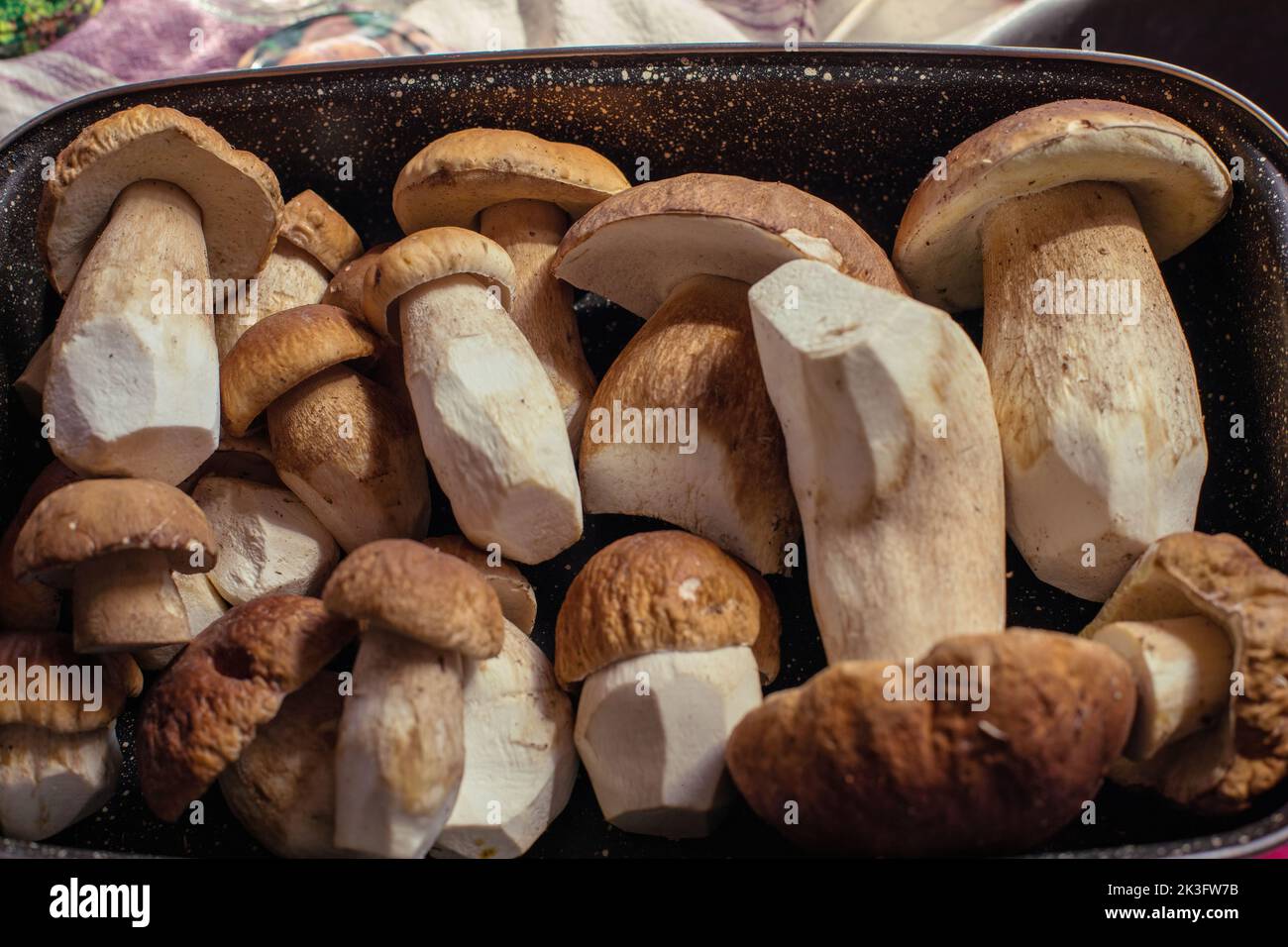 Fresh porcini mushrooms on a tray in the kitchen Stock Photo - Alamy