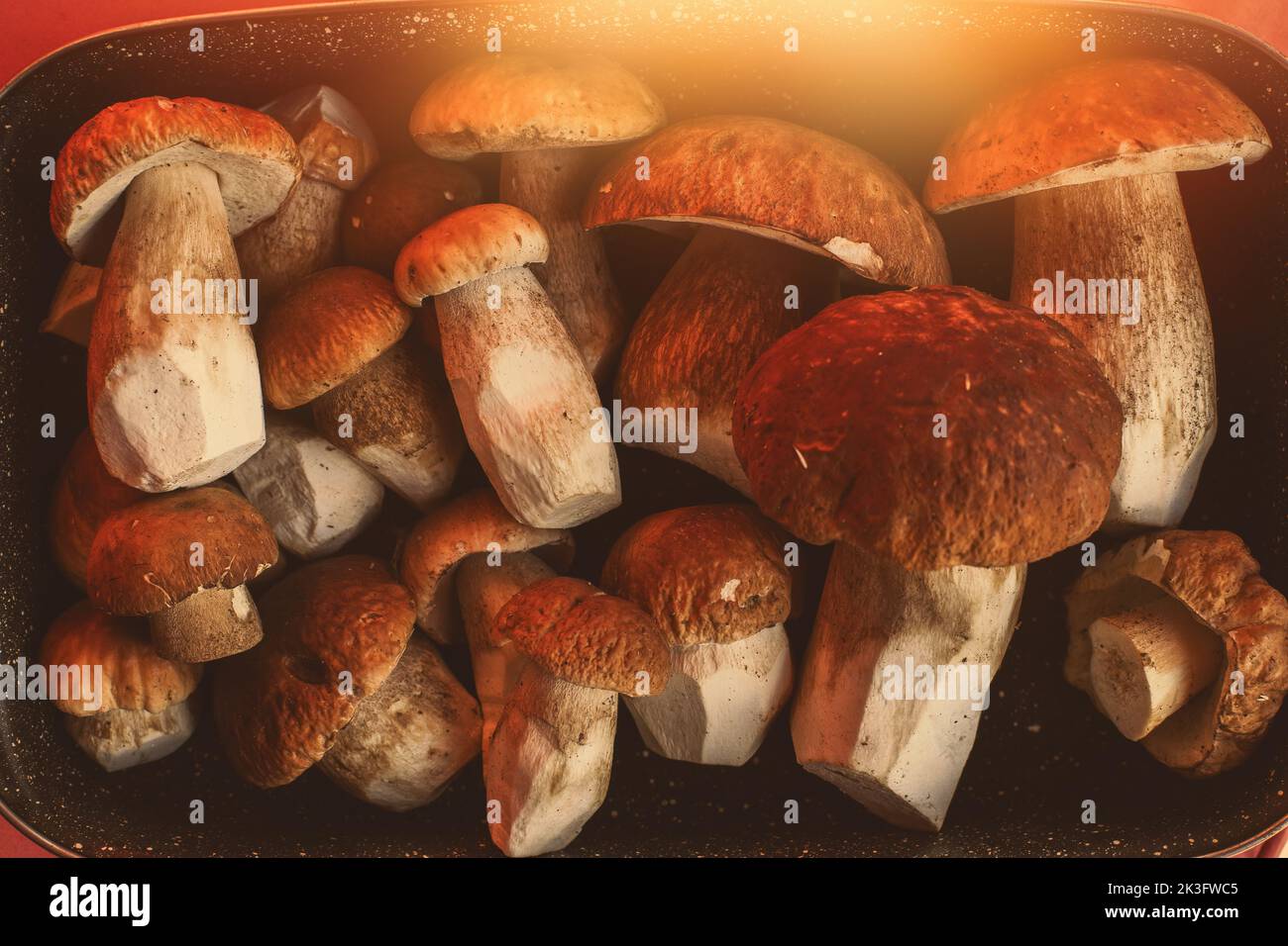 Fresh porcini mushrooms on a tray in the kitchen Stock Photo - Alamy