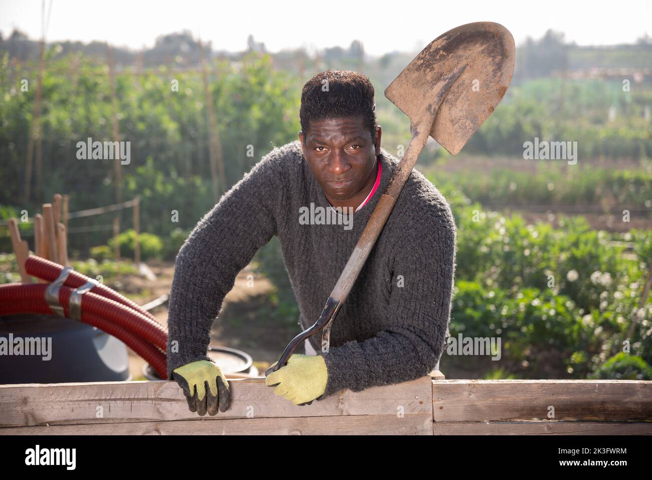 Portrait of american male gardener with shovel Stock Photo - Alamy