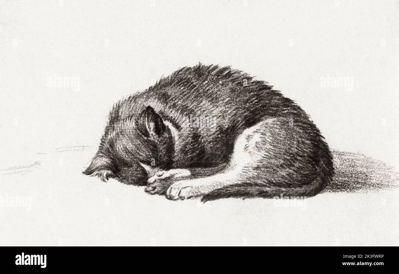 Rolled up lying sleeping cat by Jean Bernard (1775-1883). Original from ...