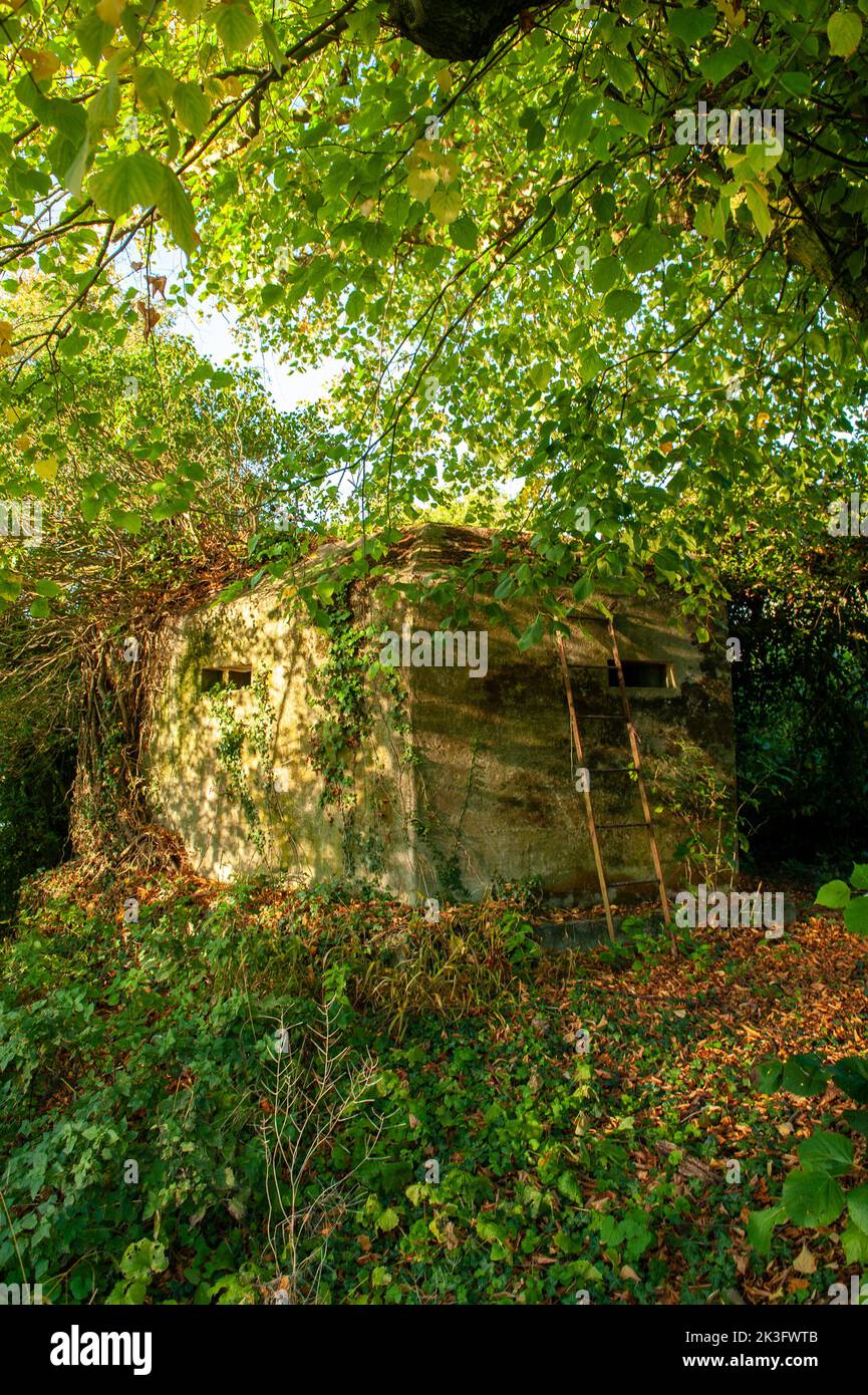 Crowmarsh oxfordshire hi-res stock photography and images - Alamy