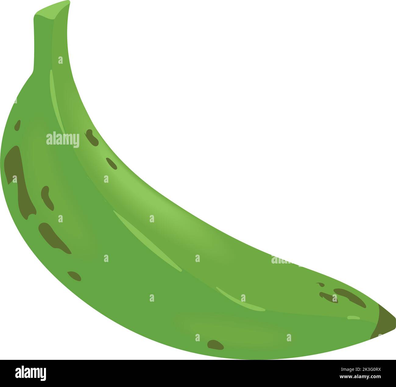 plantain fresh vegetable Stock Vector Image & Art - Alamy