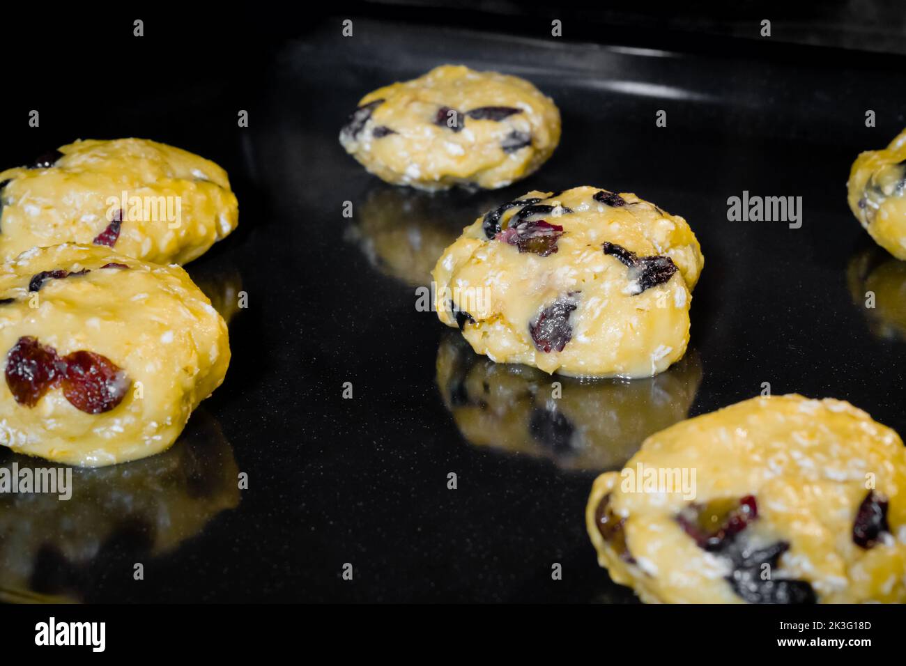 Many uncooked yellow oatmeal raisin cookies on metal sheet: close up ...