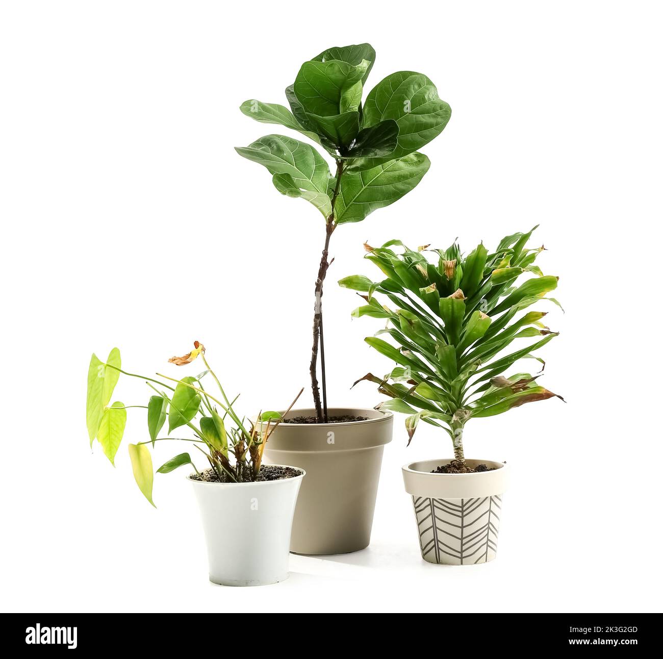 Dry process plants hi-res stock photography and images - Alamy