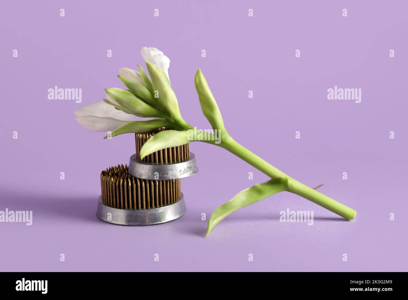 Kenzans for ikebana with flowers on lilac background Stock Photo - Alamy