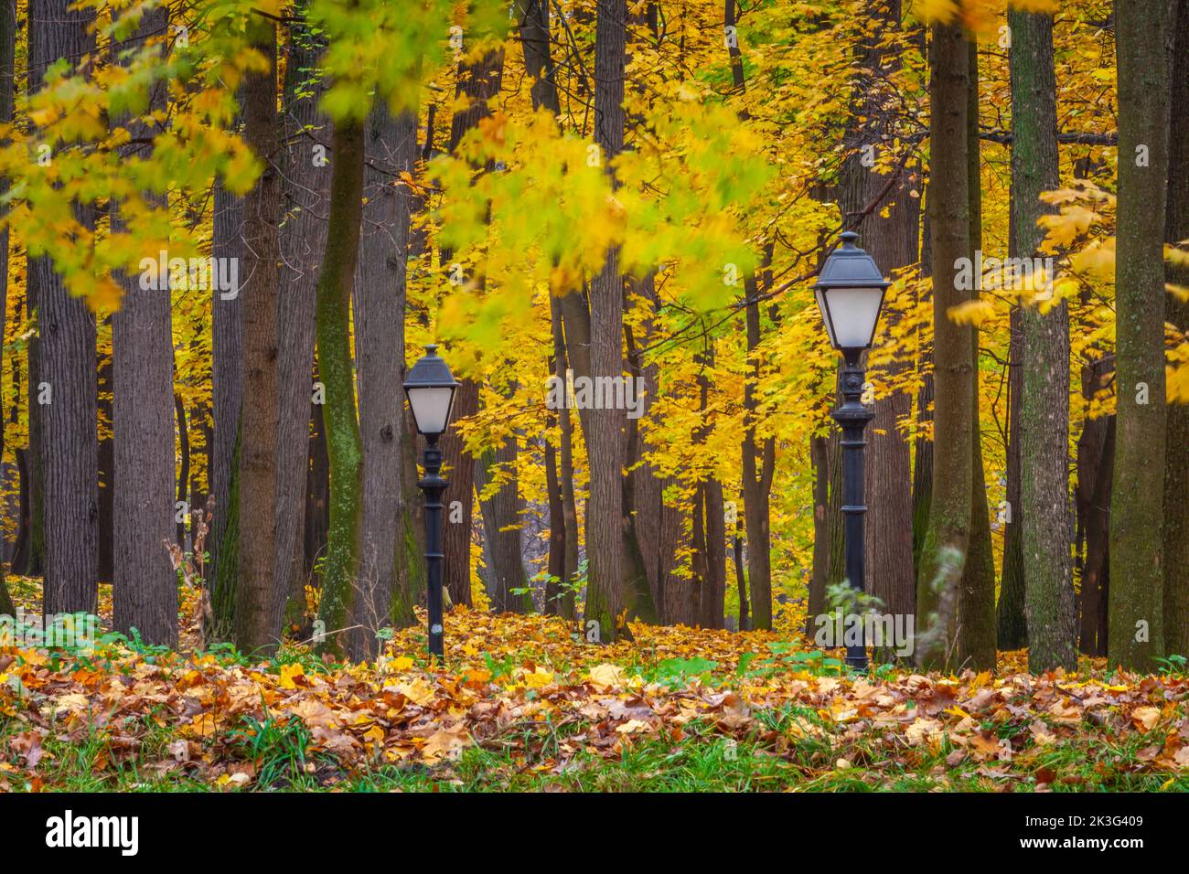 Autumn landscape, October park view with path under colorful deciduous ...