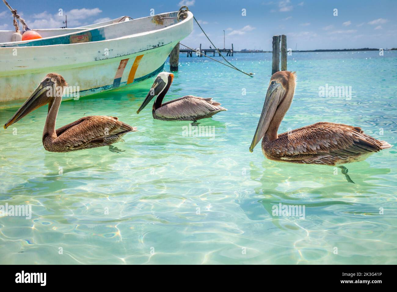 Cancun idyllic caribbean beach with boat and pelican, Riviera Maya ...