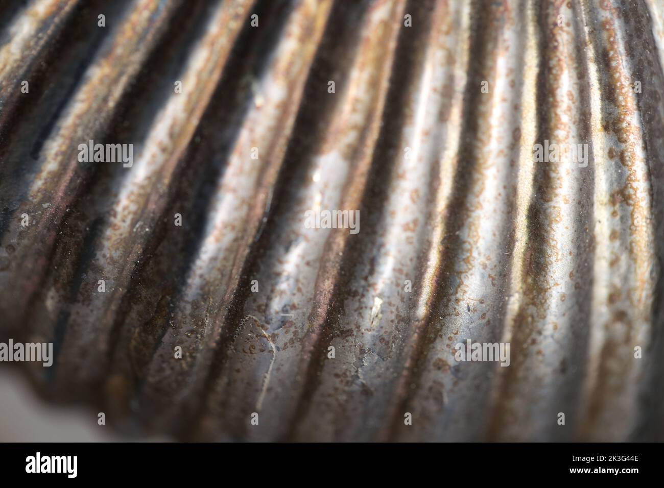 metal background with traces of rust.Ribbed metal rusty surface.Ribbed ...