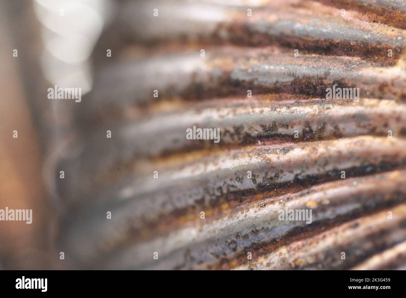 Rusty metallic photo wallpaper.Ribbed metal rusty surface.Ribbed shiny ...