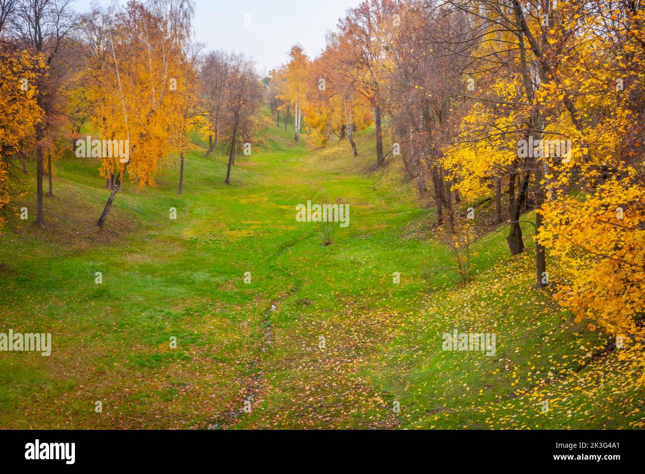 Autumn landscape, October park view with path under colorful deciduous ...