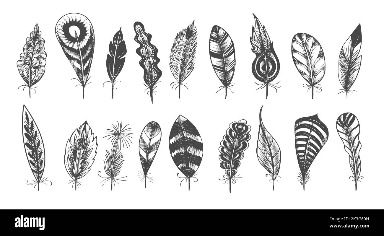 Tattoo sketch american indian Black and White Stock Photos & Images - Alamy