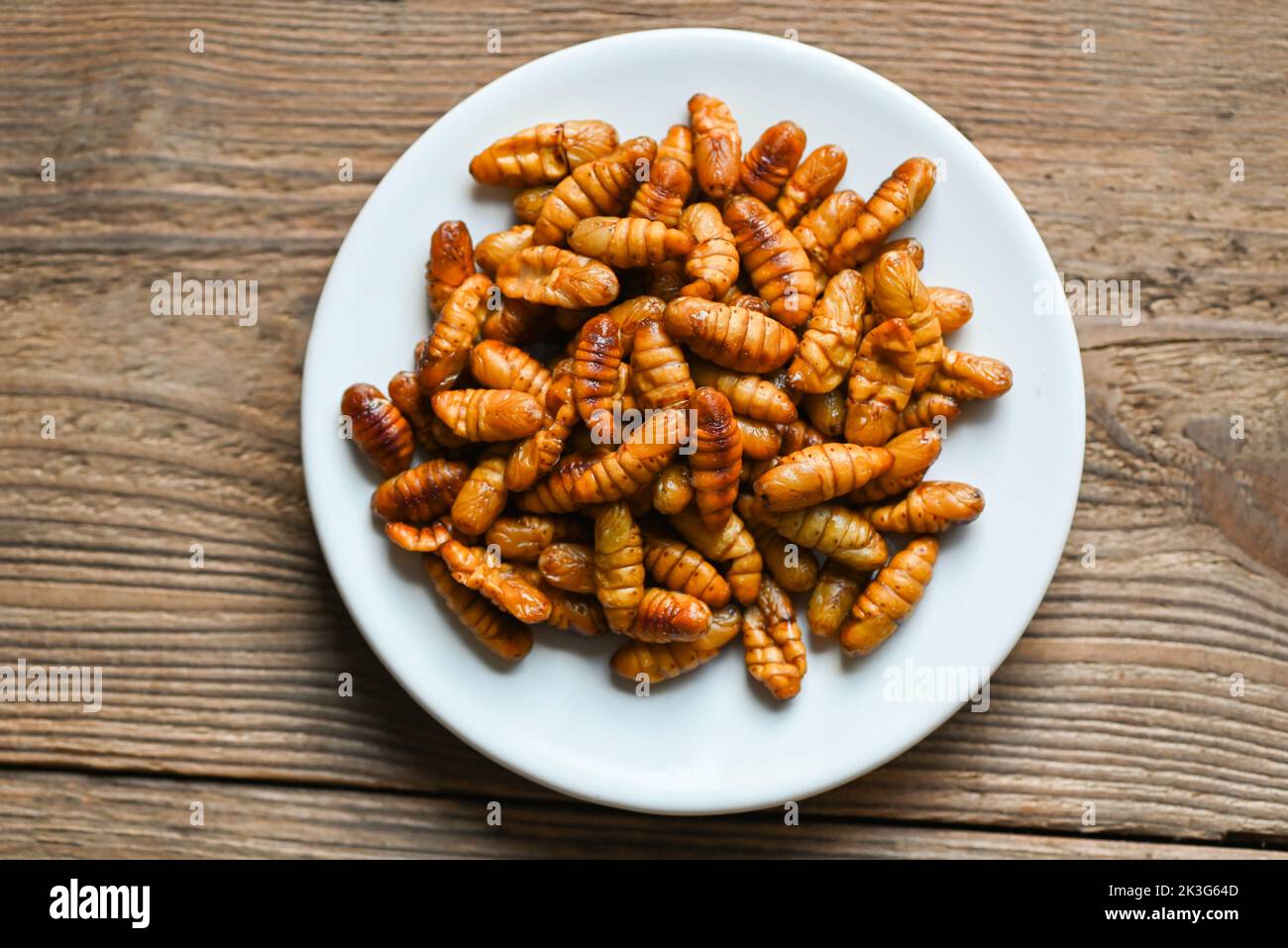 pupa on white plate background, fry silk worms - fried pupa for food ...