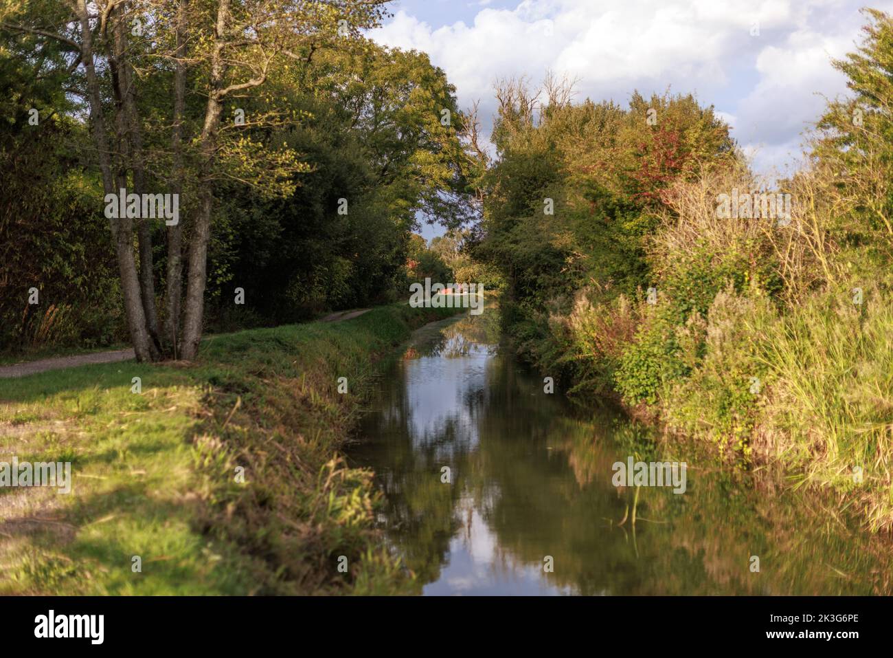 A repaired, reclaimed section of the Wilts. and Berks. Canal near ...