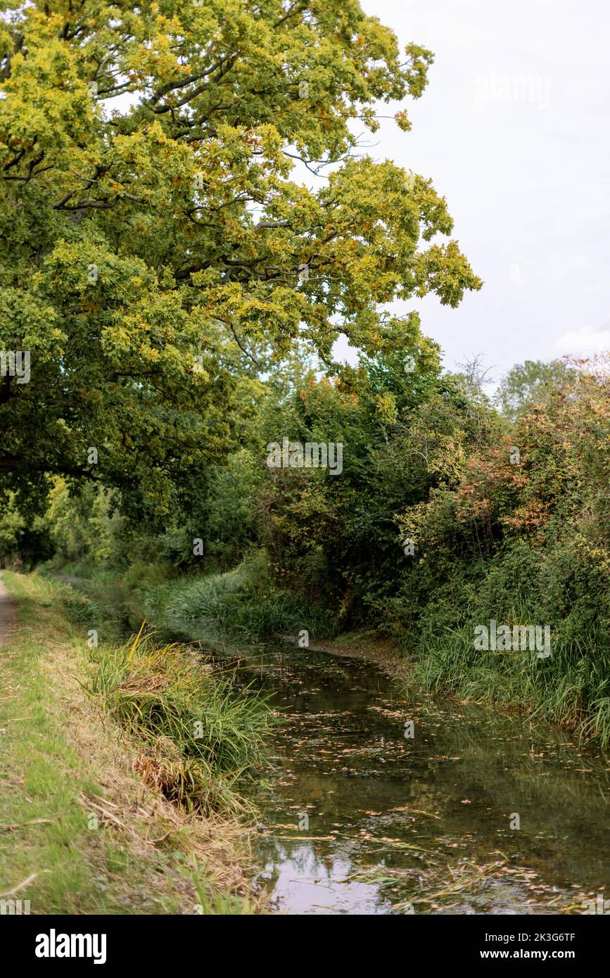 A Repaired Reclaimed Section Of The Wilts And Berks Canal Near Pewsham In Chippenham
