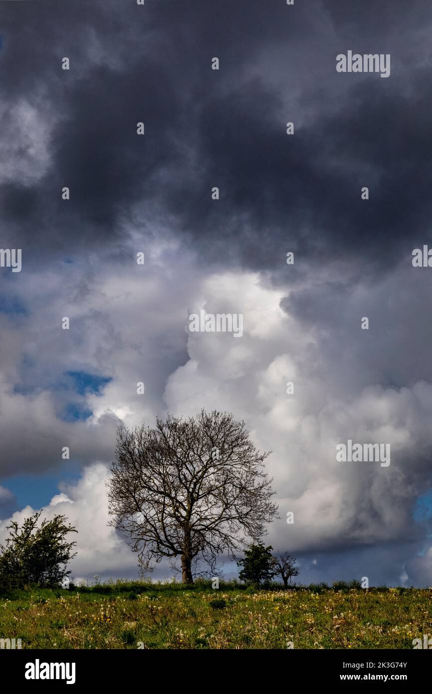 One morning in Ordsall. Ordsall is attached to the market town of ...