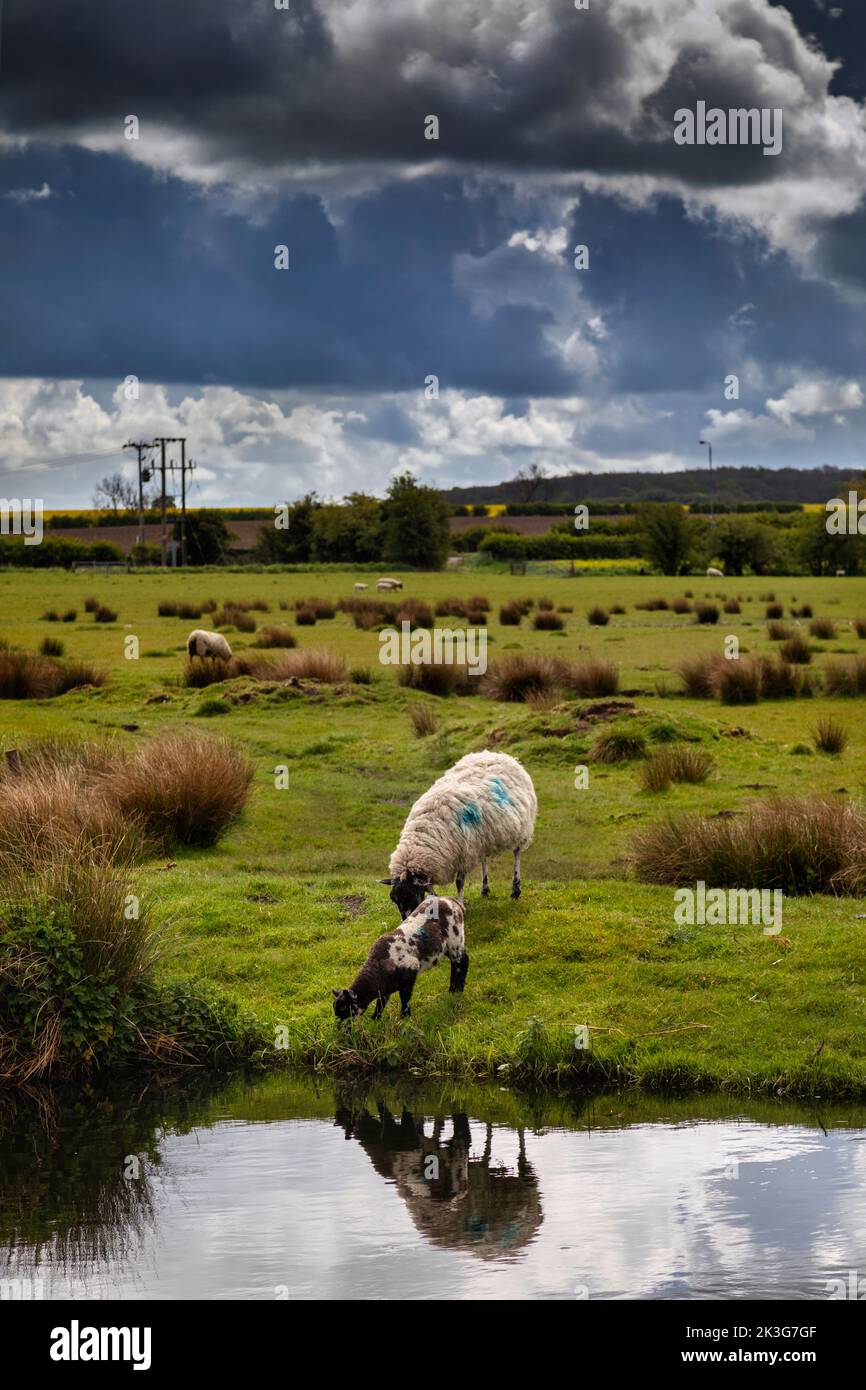 Strem hi-res stock photography and images - Alamy