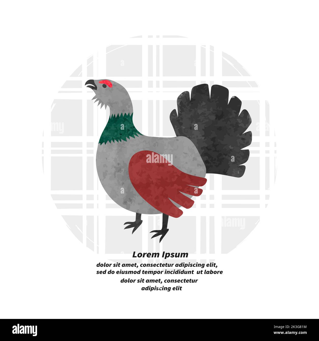 Wood grouse vector vectors Cut Out Stock Images & Pictures - Alamy