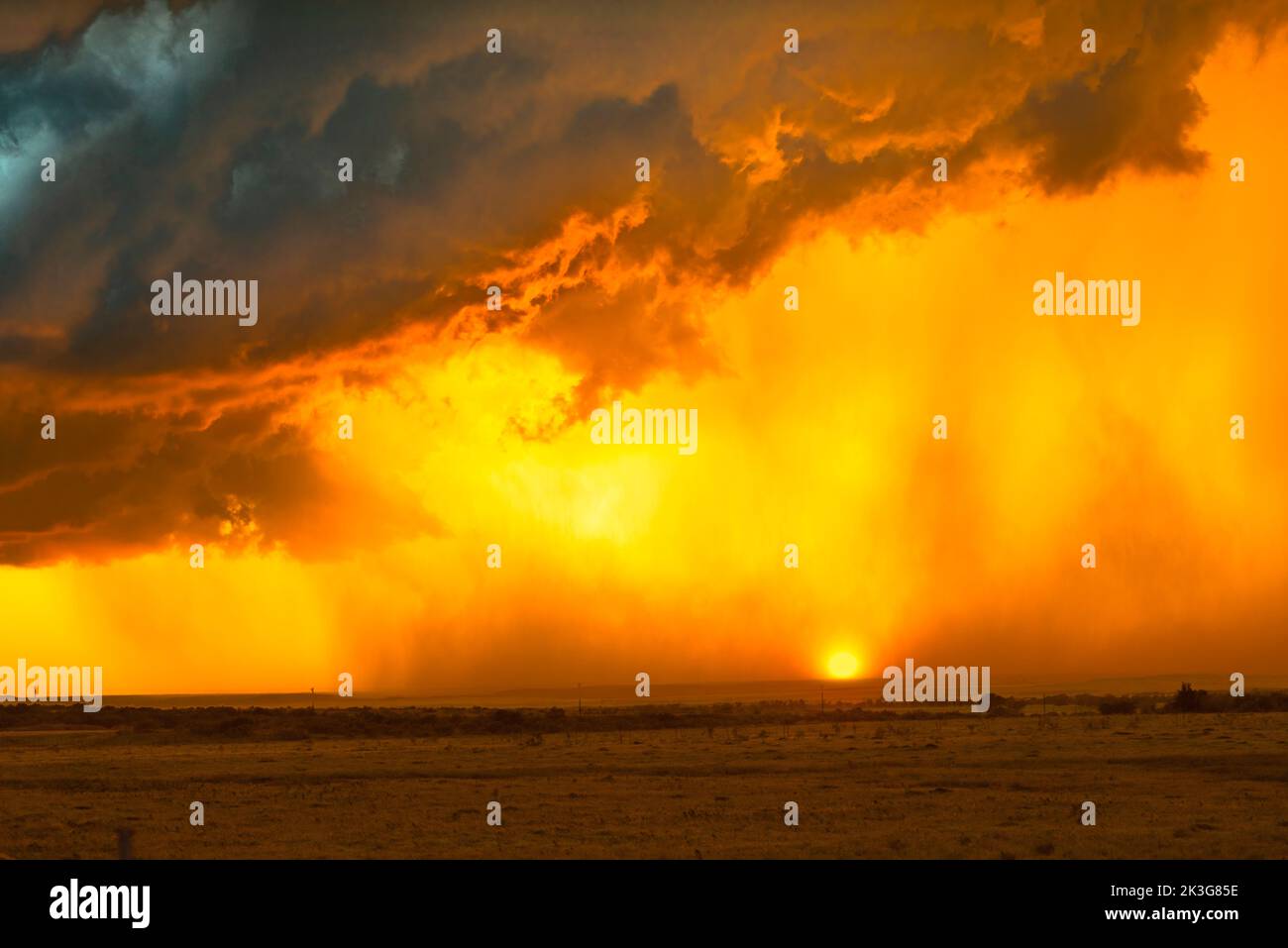 A massive thunderstorm pouring rain at sunset over a broad, empty field ...