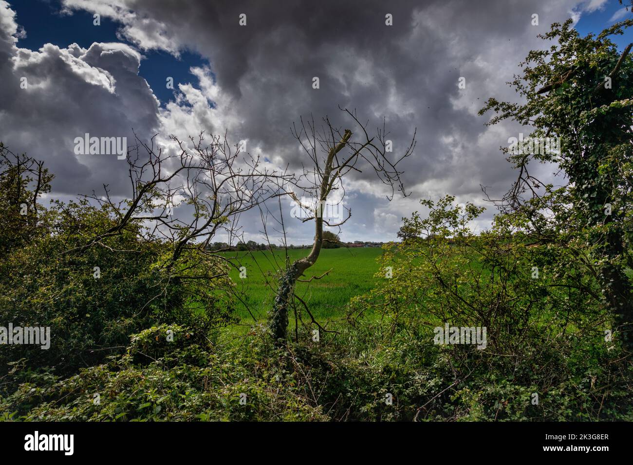 One morning in Ordsall. Ordsall is attached to the market town of ...