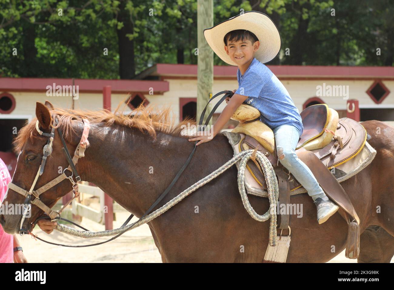 Horseback riding on Brown American Quarter Horse Stock Photo - Alamy