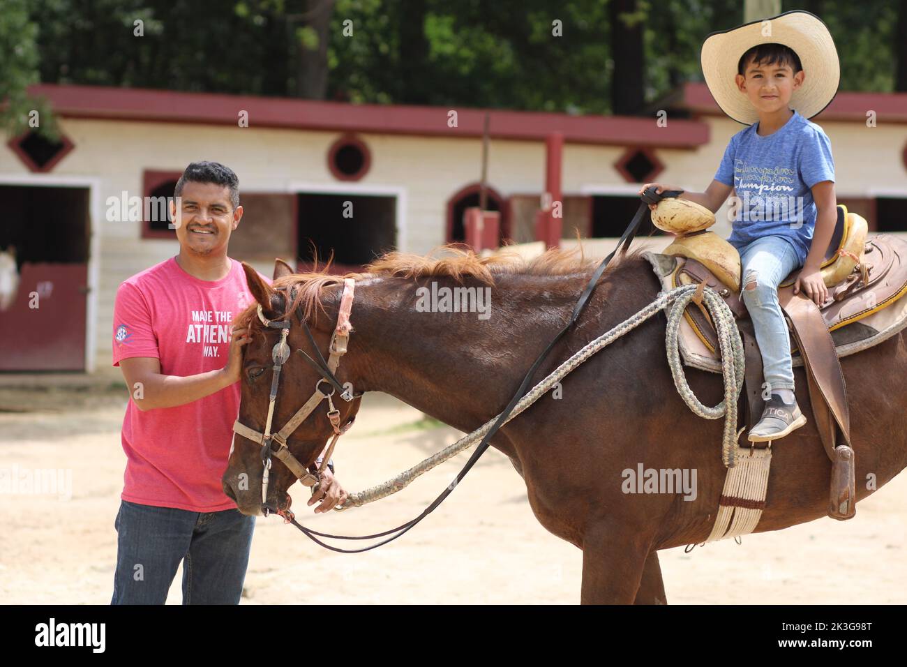 Horseback riding on Brown American Quarter Horse Stock Photo - Alamy