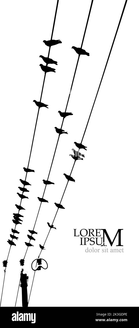 Birds on wires. Vector illustration Stock Vector Image & Art - Alamy