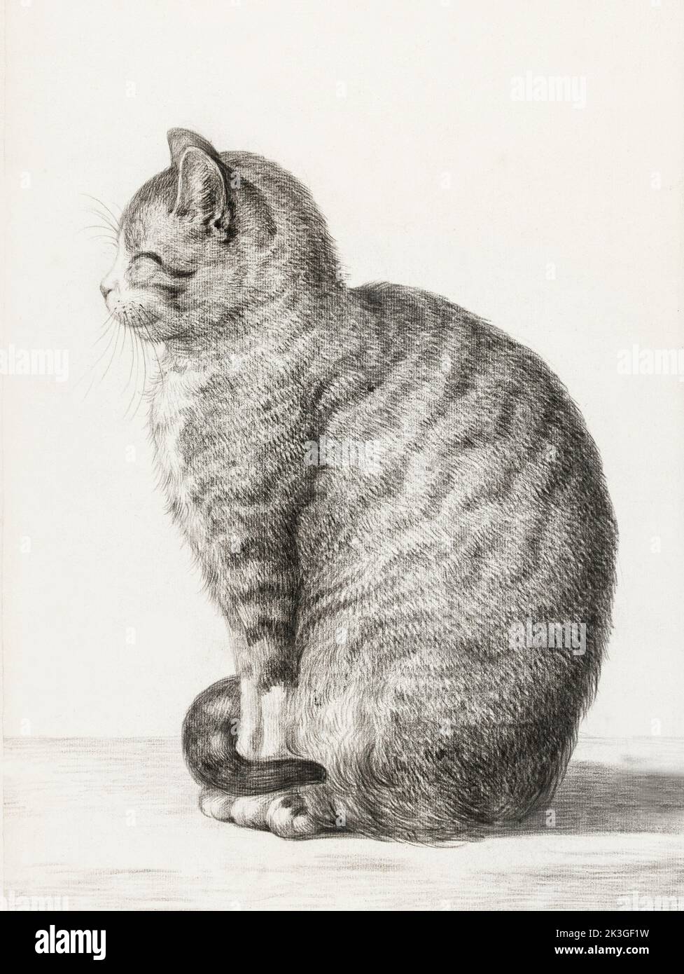 Sitting cat (1815) by Jean Bernard (1775-1883). Original from The ...