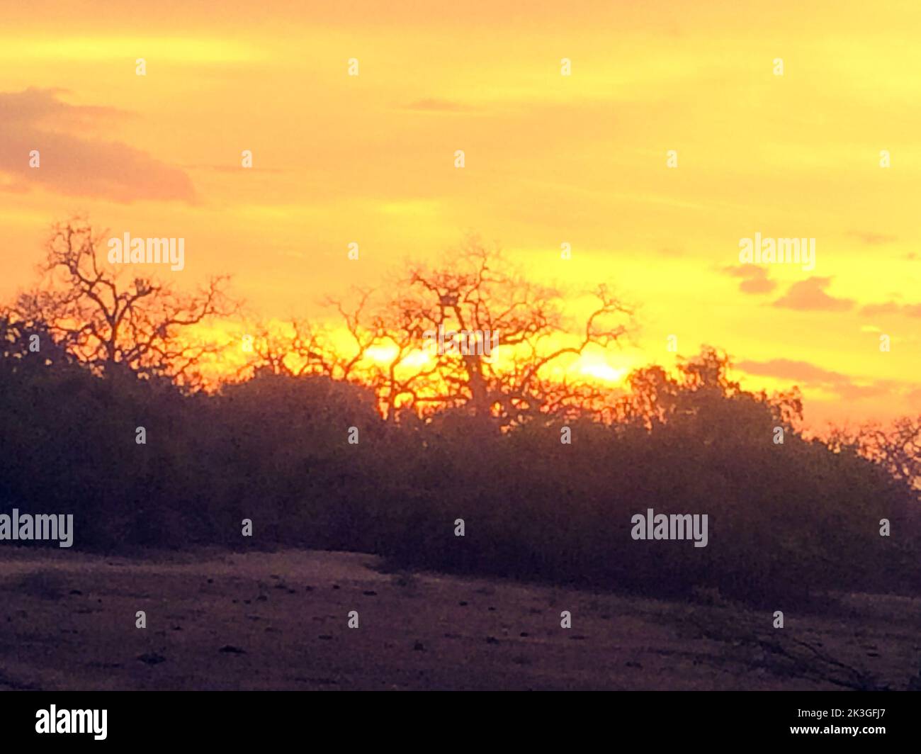 Summer sunrises hi-res stock photography and images - Alamy