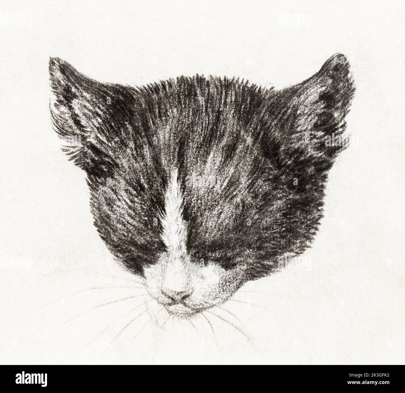 Sketch of a cat by Jean Bernard (1775-1883). Original from The ...