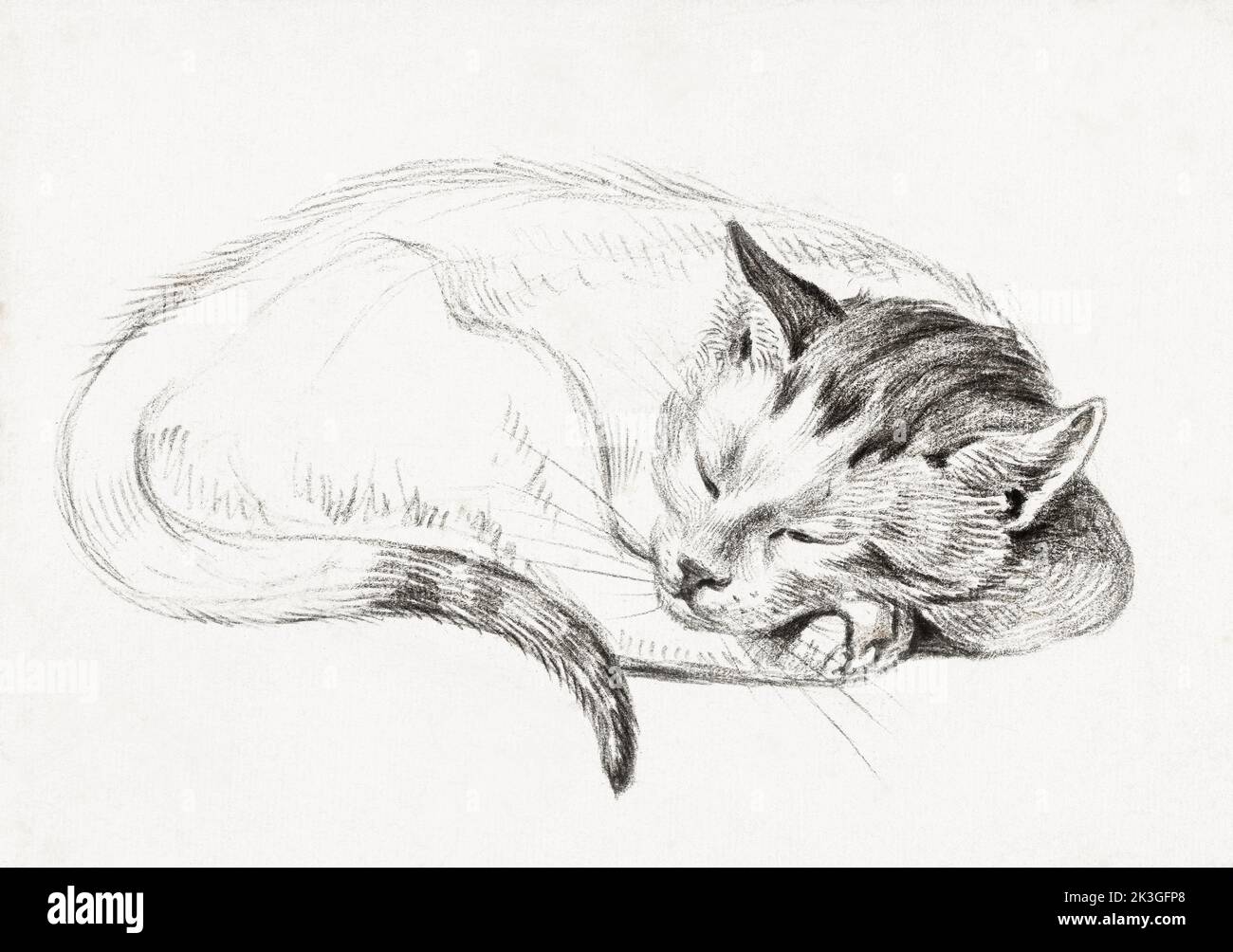 Sketch of a sleeping cat (1812) by Jean Bernard (1775-1883). Original ...