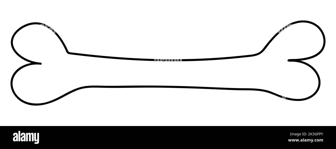 Tibia. Vector illustration. An integral part of the skeleton. Outlined ...