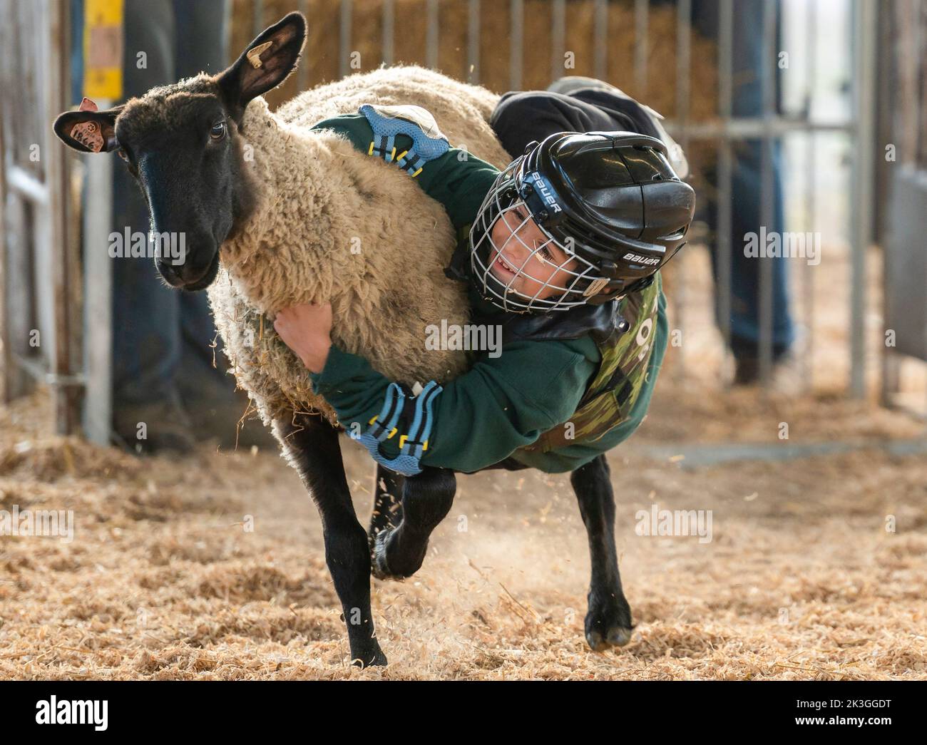Muttin bustin hi-res stock photography and images - Alamy