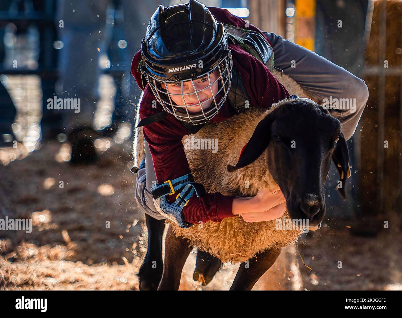 Muttin bustin hi-res stock photography and images - Alamy