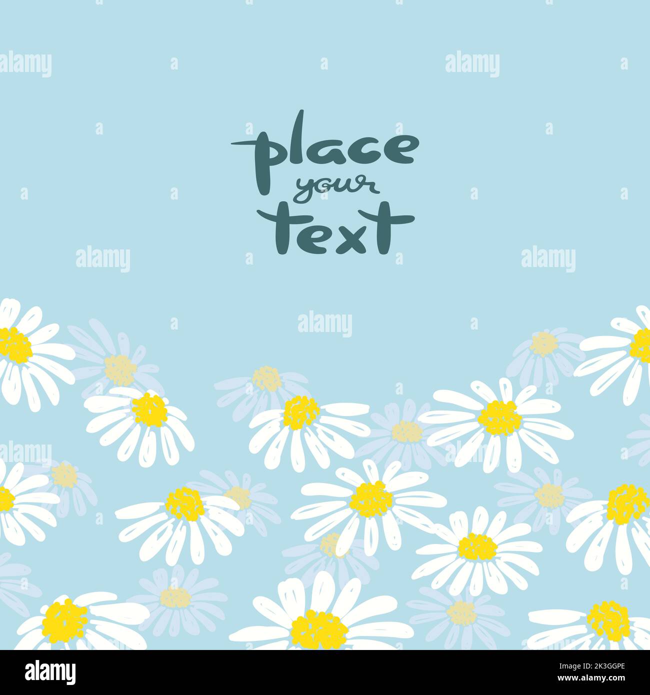 Daisy border. Vector background with white chamomiles on blue Stock ...