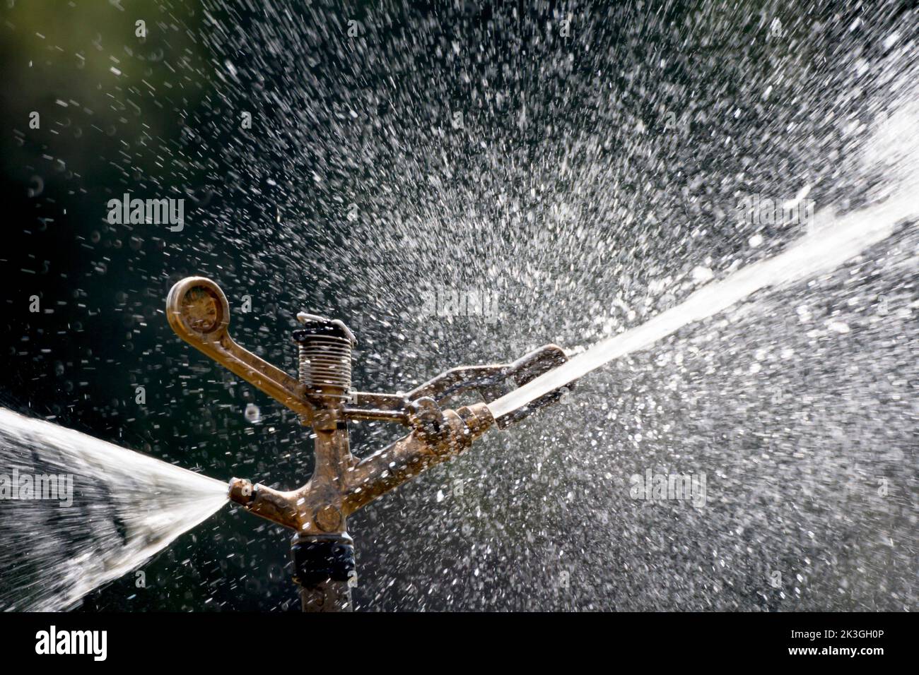 Sprinkler spraying water Stock Photo - Alamy