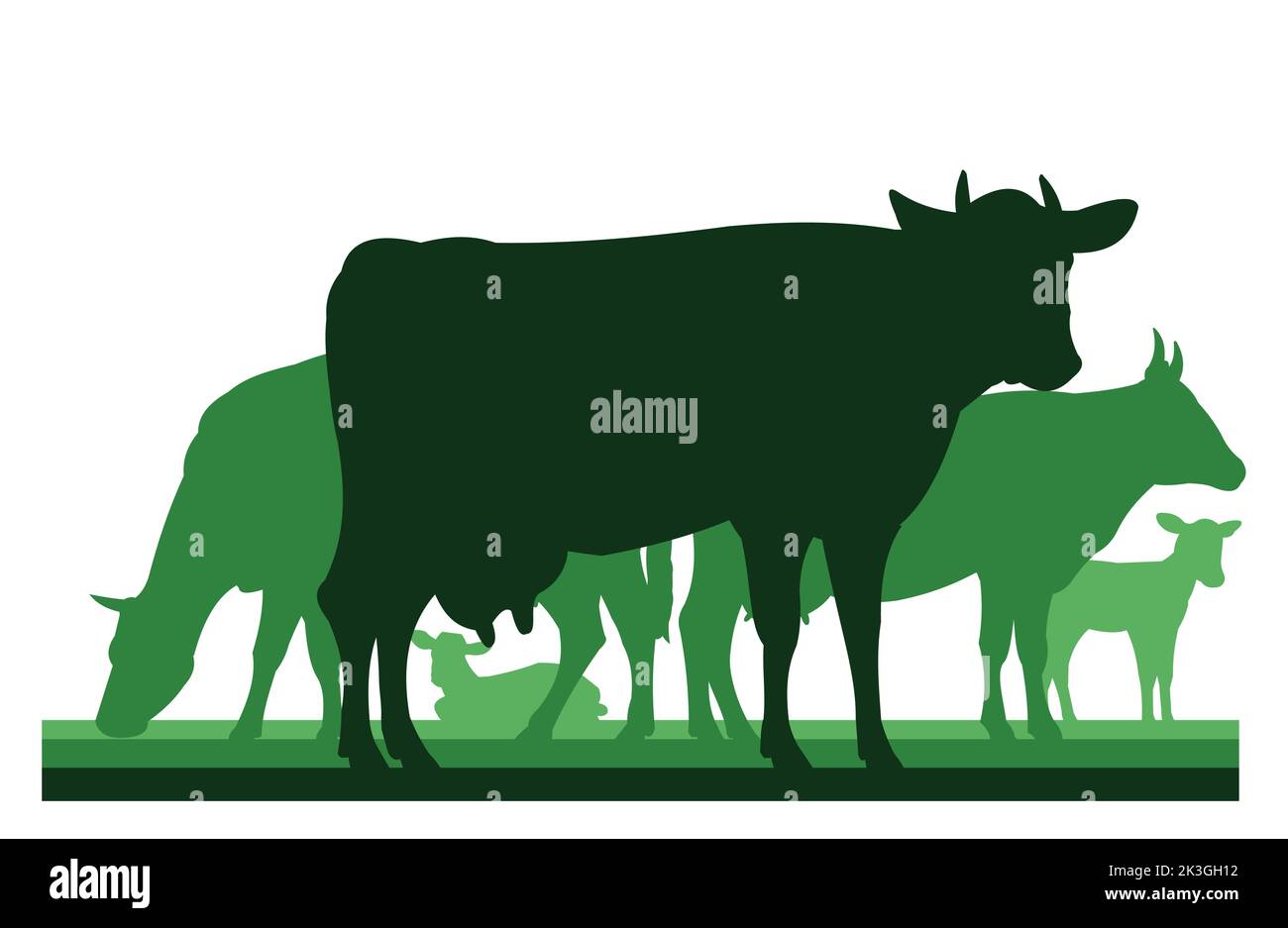 Cow grazing. Picture silhouette. Farm pets. Animals for milk and dairy ...