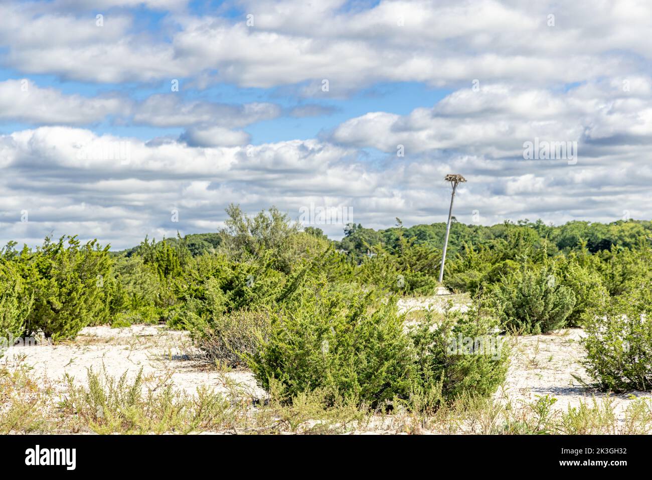 Landscape with an Osprey nest Stock Photo - Alamy