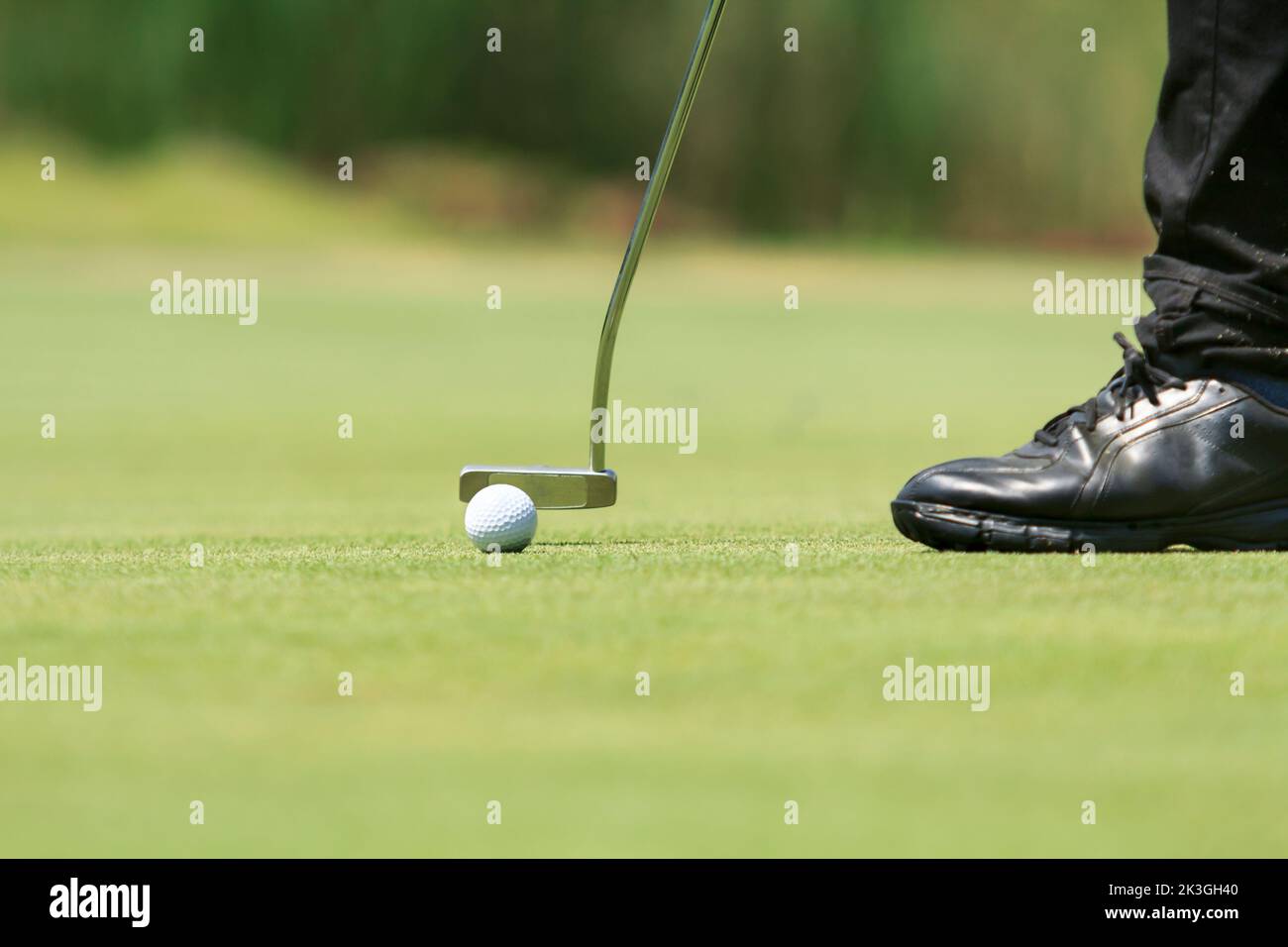 Golf player putting on the green Stock Photo - Alamy