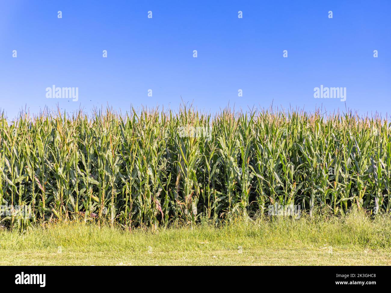Highway cornfield hi-res stock photography and images - Alamy