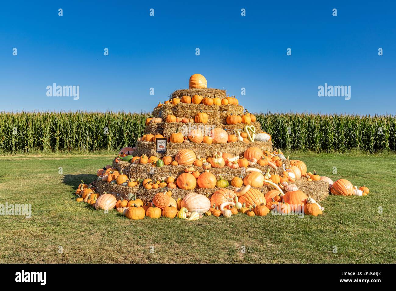 Collection of pumpkins, gourds and squash in a pyramid shape Stock ...