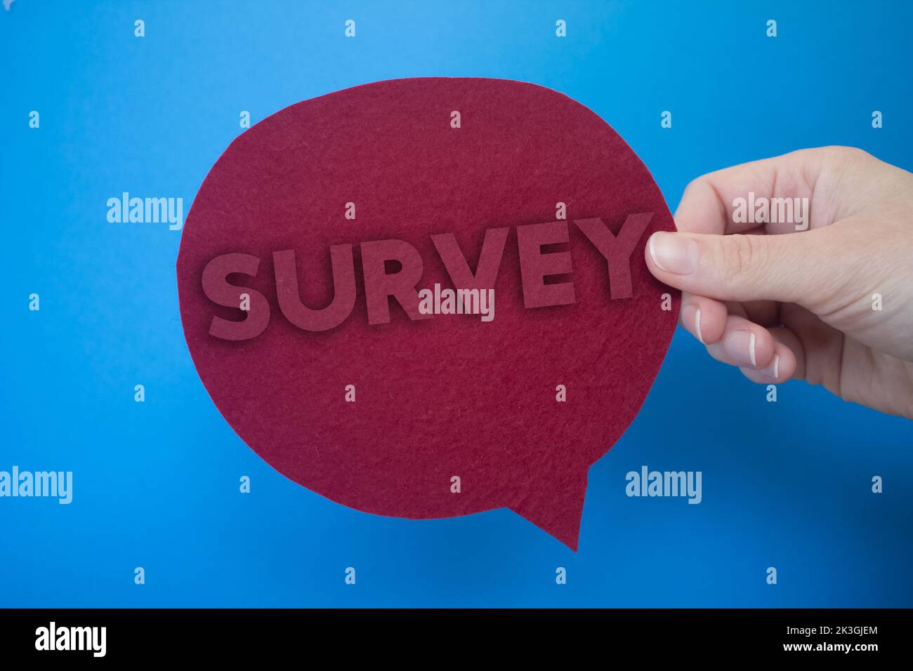 Speech bubble in front of colored background with Survey text Stock ...