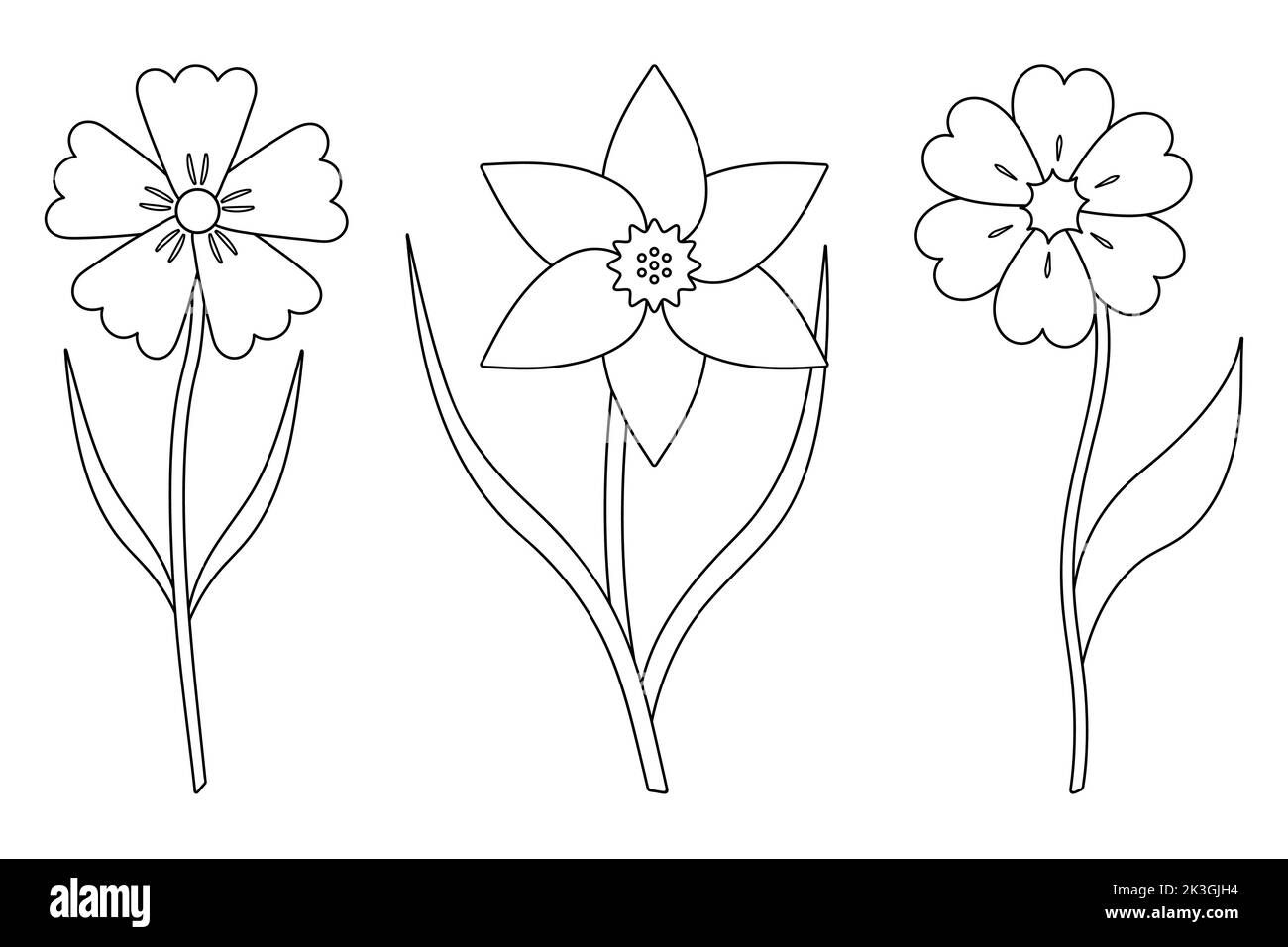Flowers. Sketch. Set of vector illustrations. Cornflower, daffodil ...