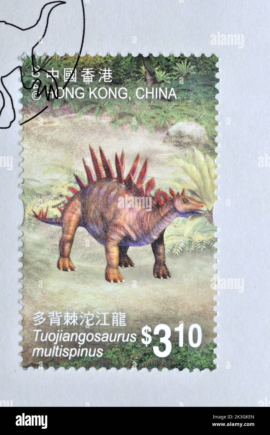 Tuojiangosaurus Skeleton