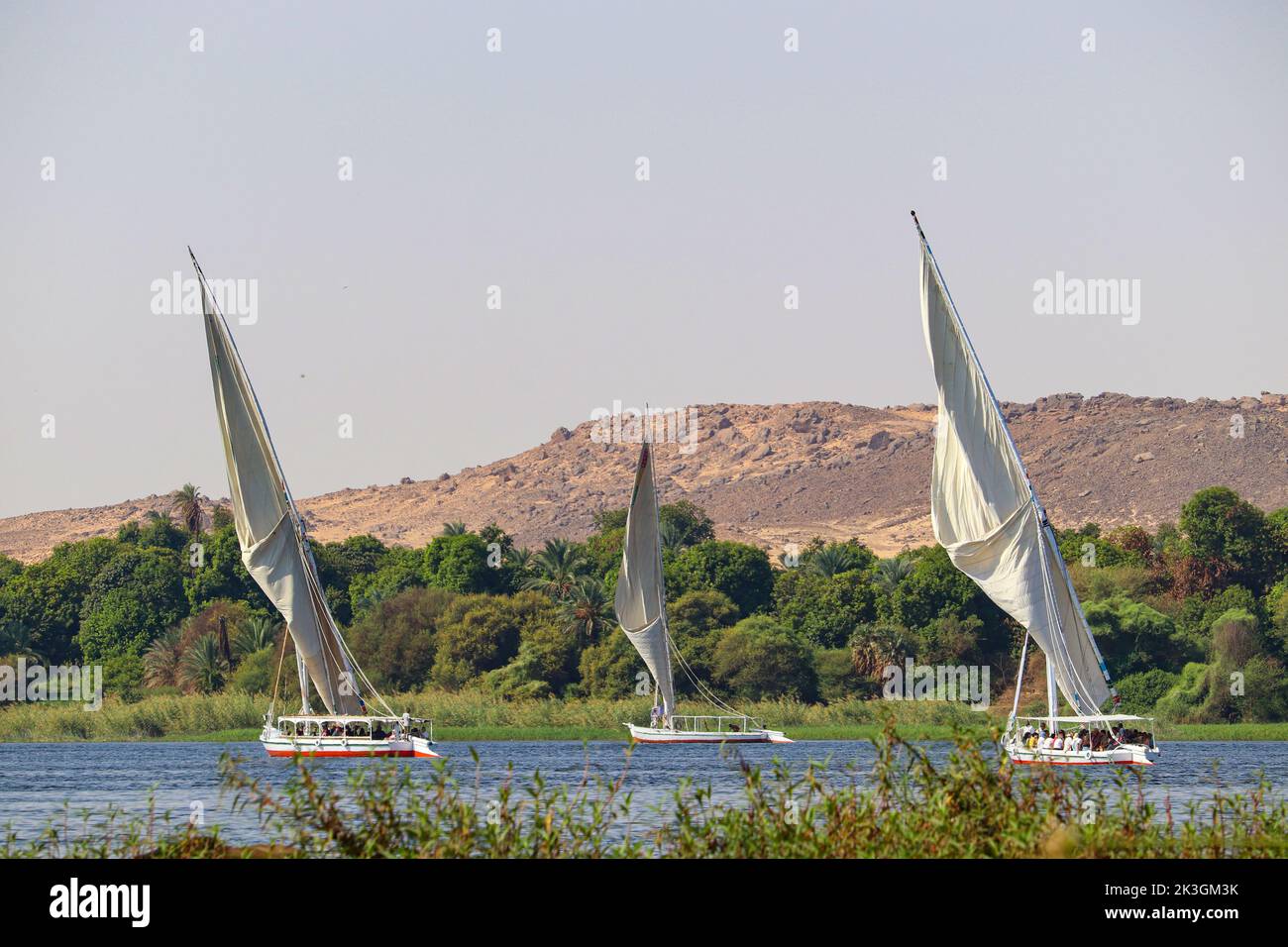 white traditional wooden sailing boat (Feluccas) on the river Nile ...