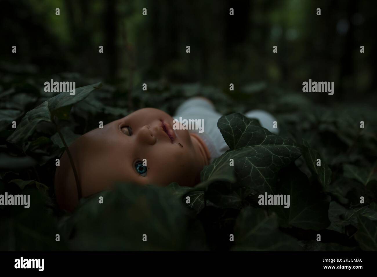 Dark scene of close up of child scary dolly in deep woods just before ...